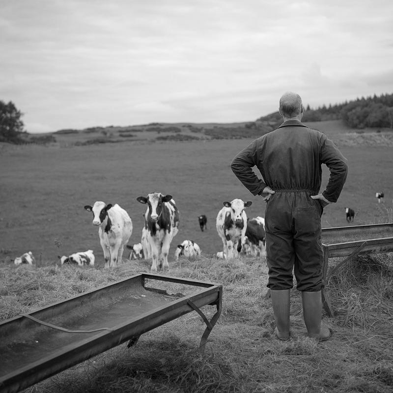 About The Ethical Dairy | The Ethical Dairy